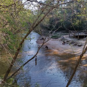 LAKE HOUSTON WILDERNESS PARK - 188 Photos & 55 Reviews - 25840 Fm 1485 ...