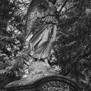 ACACIA MEMORIAL PARK & FUNERAL HOME - Updated August 2025 - 71 Photos ...