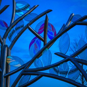 NASHVILLE PUBLIC LIBRARY - EDMONDSON PIKE BRANCH - Updated June 2025 ...