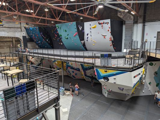 THE OAKS - Updated June 2025 - 17 Photos - 1875 Solano Ave, Berkeley, California - Rock Climbing ...