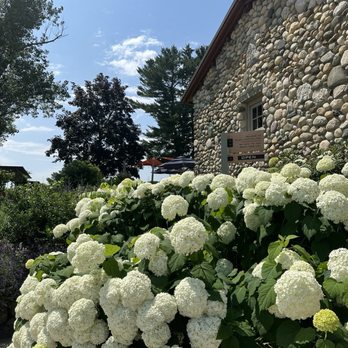 SHADY LANE CELLARS - Updated December 2025 - 107 Photos & 92 Reviews ...