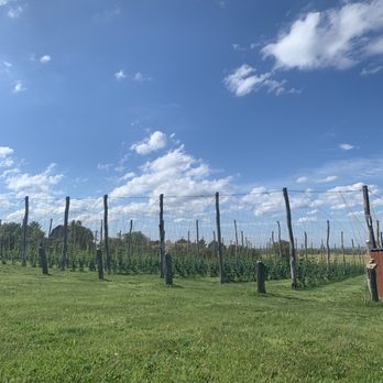 CLIMBING BINES HOP FARM - Updated December 2024 - 127 Photos & 101 ...