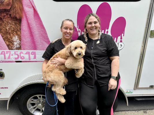 BOUJEE BUBBLES MOBILE DOG GROOMING - Updated October 2025 - 28 Photos ...
