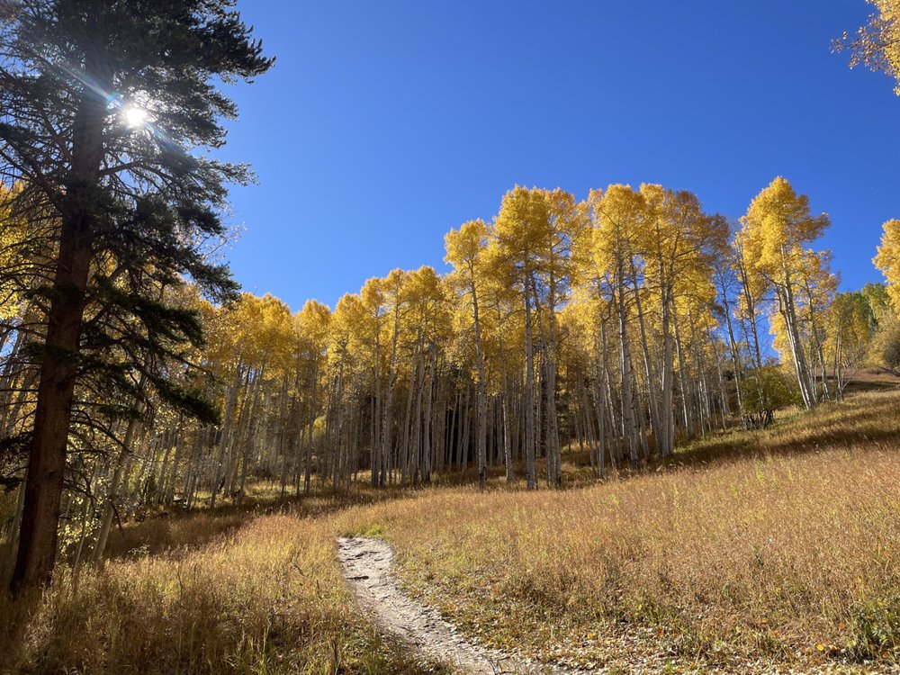 BERRYPICKER TRAIL - Updated August 2025 - 36 Photos & 11 Reviews - Vail ...