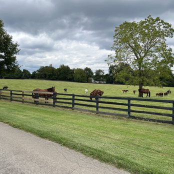 MILL RIDGE FARM - Updated July 2025 - 73 Photos & 16 Reviews - 2800 ...