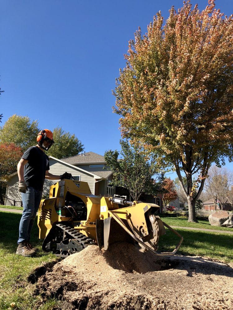 ARBORMASTER TREE SERVICE - Updated September 2025 - 11 Photos - Sioux ...