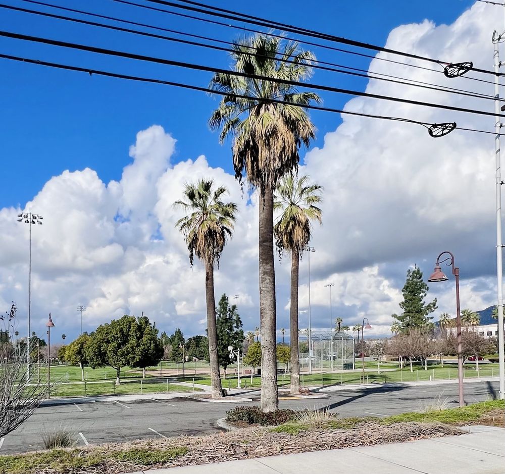 HUNTER PARK - Updated October 2025 - 42 Photos & 31 Reviews - 1401 Iowa ...