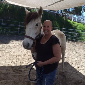 LAUGHING PONY RESCUE - 17 Photos & 18 Reviews - Rancho Santa Fe, CA - Yelp