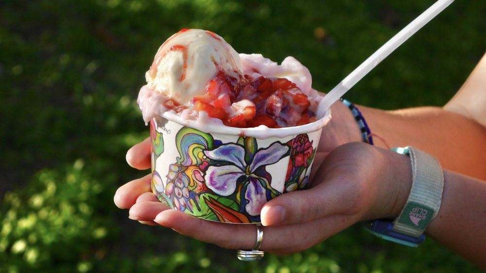 ROCKAS BING - Updated March 2025 - 15 Photos - 55-164 Kamehameha Hwy ...