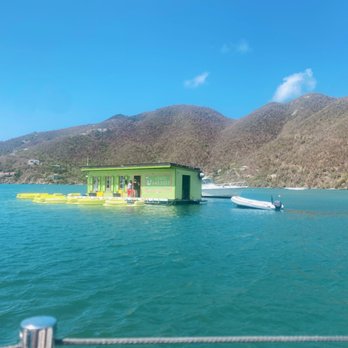 LIME OUT - Updated February 2025 - 141 Photos & 93 Reviews - Coral Bay ...