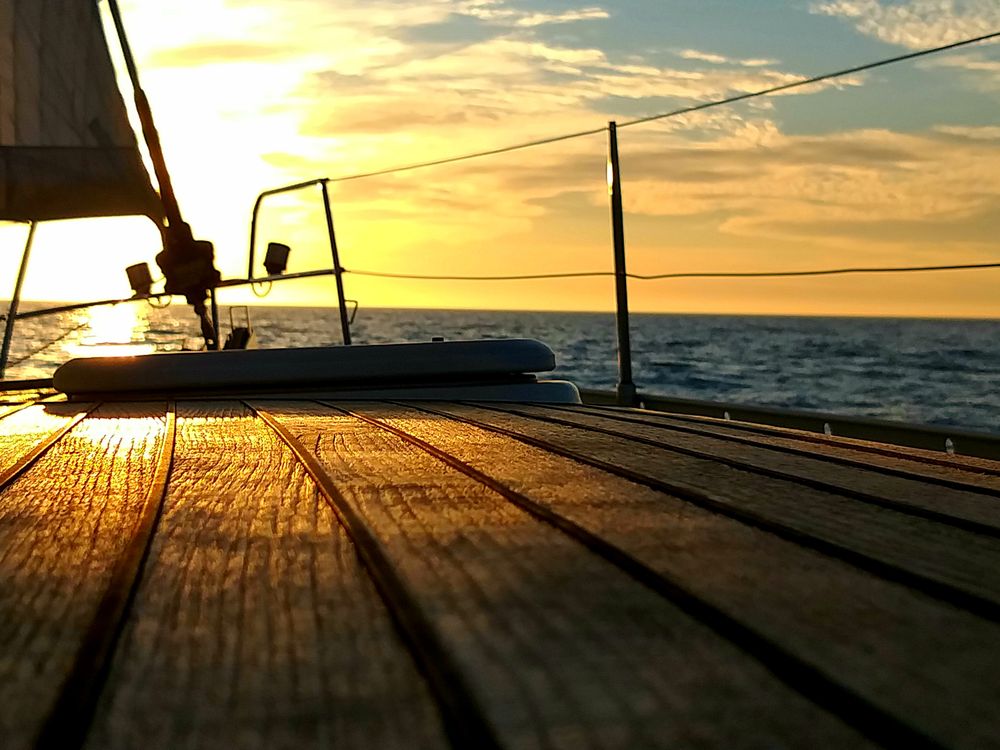 QUADRANT ALGARVE YACHT CHARTERS - Updated December 2024 - Passeio dos ...