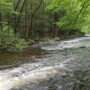 HURD PARK - 52 Photos - Parks - W Blackwell St & Park Heights Ave ...