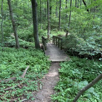 FRED CRABTREE PARK - Updated October 2025 - 15 Photos - 2801 Fox Mill ...