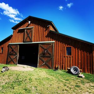 BLUE SPRINGS RANCH - Updated September 2025 - 44 Photos & 51 Reviews ...