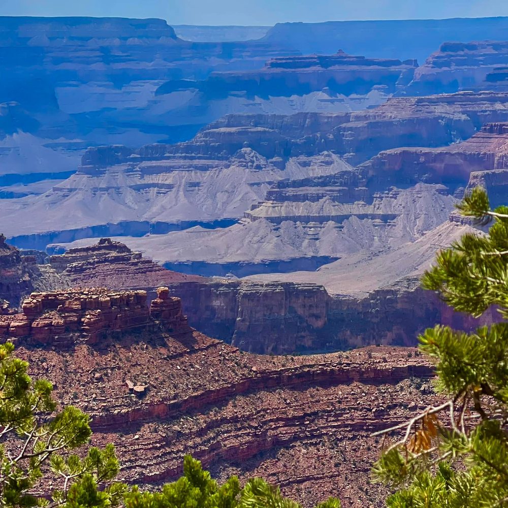 Coconino National Forest Picnic Ground Painted Desert Vista