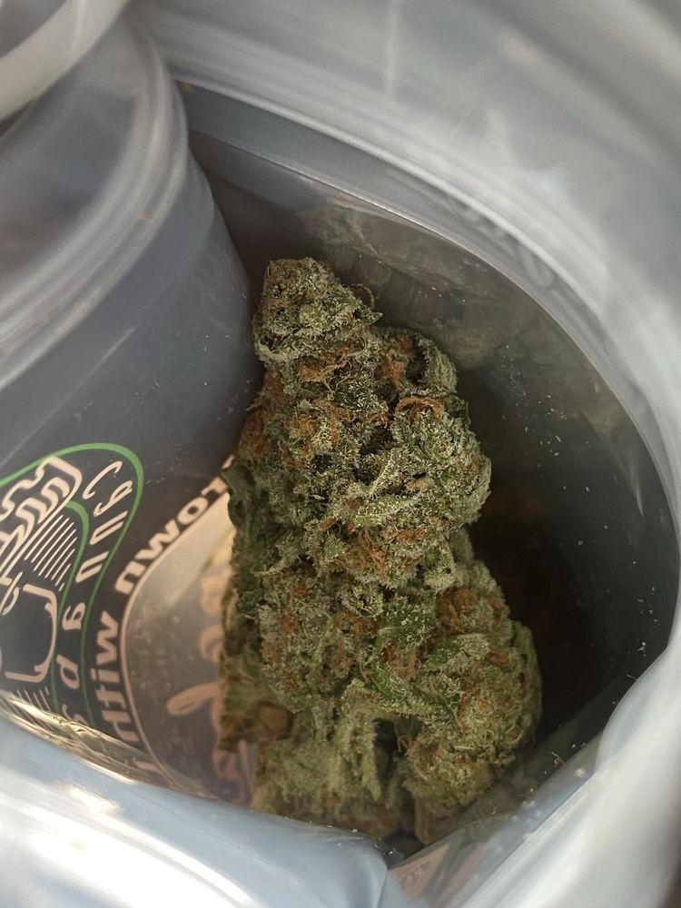 CANNABASKA - Updated January 2026 - 29 Photos & 25 Reviews - 521 W ...