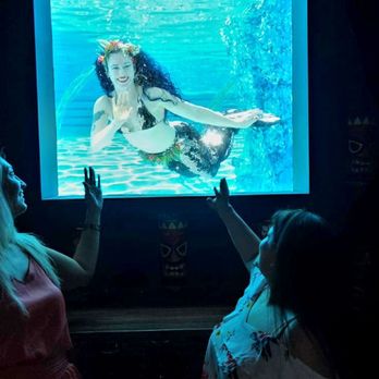 THE WRECK BAR - Updated April 2026 - 548 Photos & 251 Reviews - 1140 ...