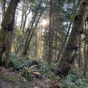 RED TOWN TRAILHEAD - Updated December 2025 - 7500 Lakemont Blvd SE ...