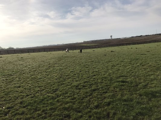 FISH LAKE BEACH CAMPING RESORT - 54 Photos & 40 Reviews - Campgrounds ...