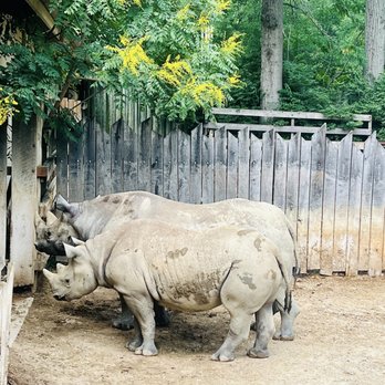 CLEVELAND METROPARKS ZOO - Updated October 2025 - 1307 Photos & 320 ...