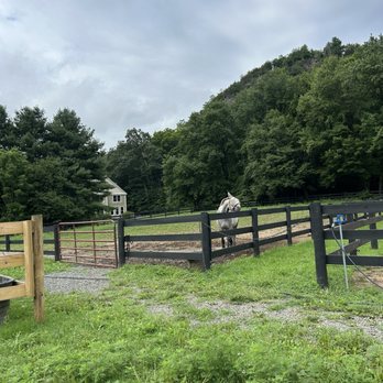 JULIEN’S FARM STORE - Updated November 2024 - 115 Photos & 27 Reviews ...