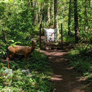 RENTON FISH & GAME CLUB - 27 Photos & 53 Reviews - Gun/Rifle Ranges ...