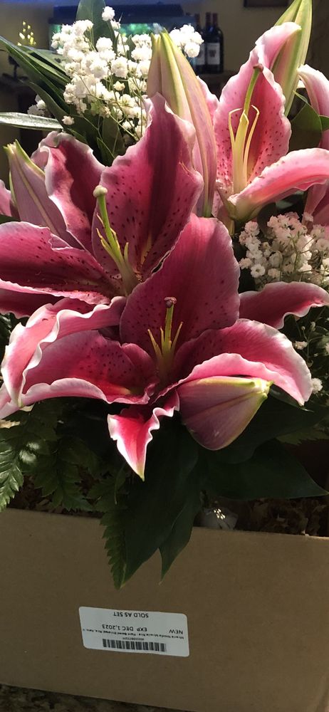 FLOWER HUB PCB - Updated October 2025 - 21 Photos - 6205 Palm Ct, Panama City Beach, Florida ...