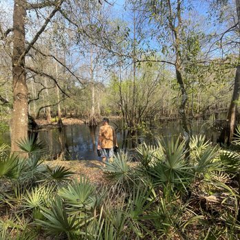 WITHLACOOCHEE RIVER PARK - Updated December 2025 - 88 Photos & 15 ...