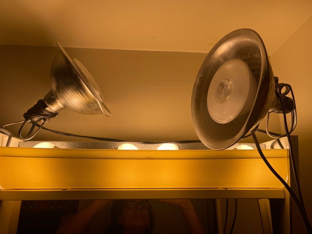 ROLLING RIDGE APARTMENTS - Updated July 2025 - 15 Ridge Ct E, West ...