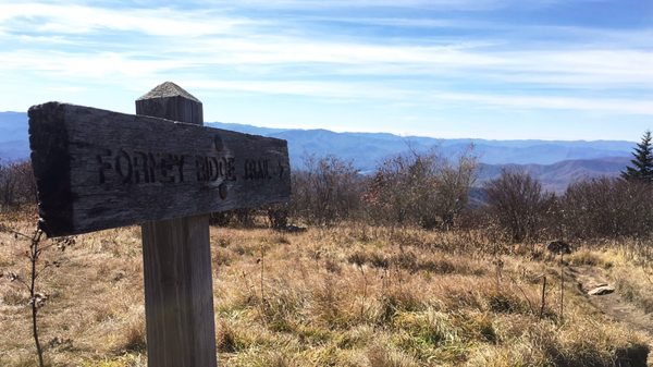 ANDREWS BALD TRAIL - 11 Photos - Forney Ridge Trl, Bryson City, North ...