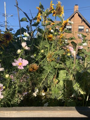 COLBY PARK - Updated November 2025 - 14 Photos - Colby St, Oakland ...