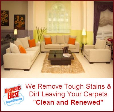 HEAVEN’S BEST CARPET CLEANING - Updated June 2024 - 30 Boisvert St ...