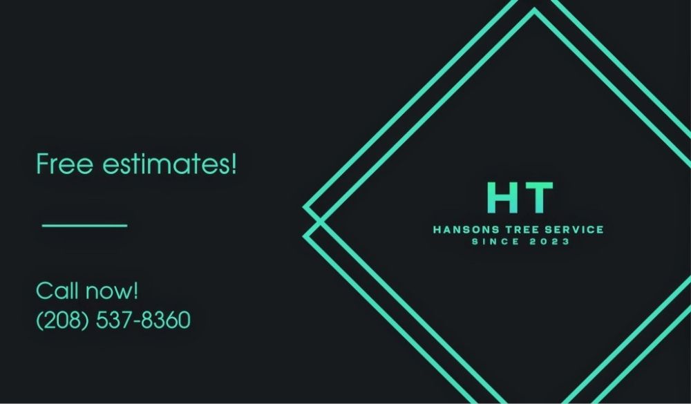 Hanson’s Tree Service - Trusted Since 2023 - Updated July 2025 ...