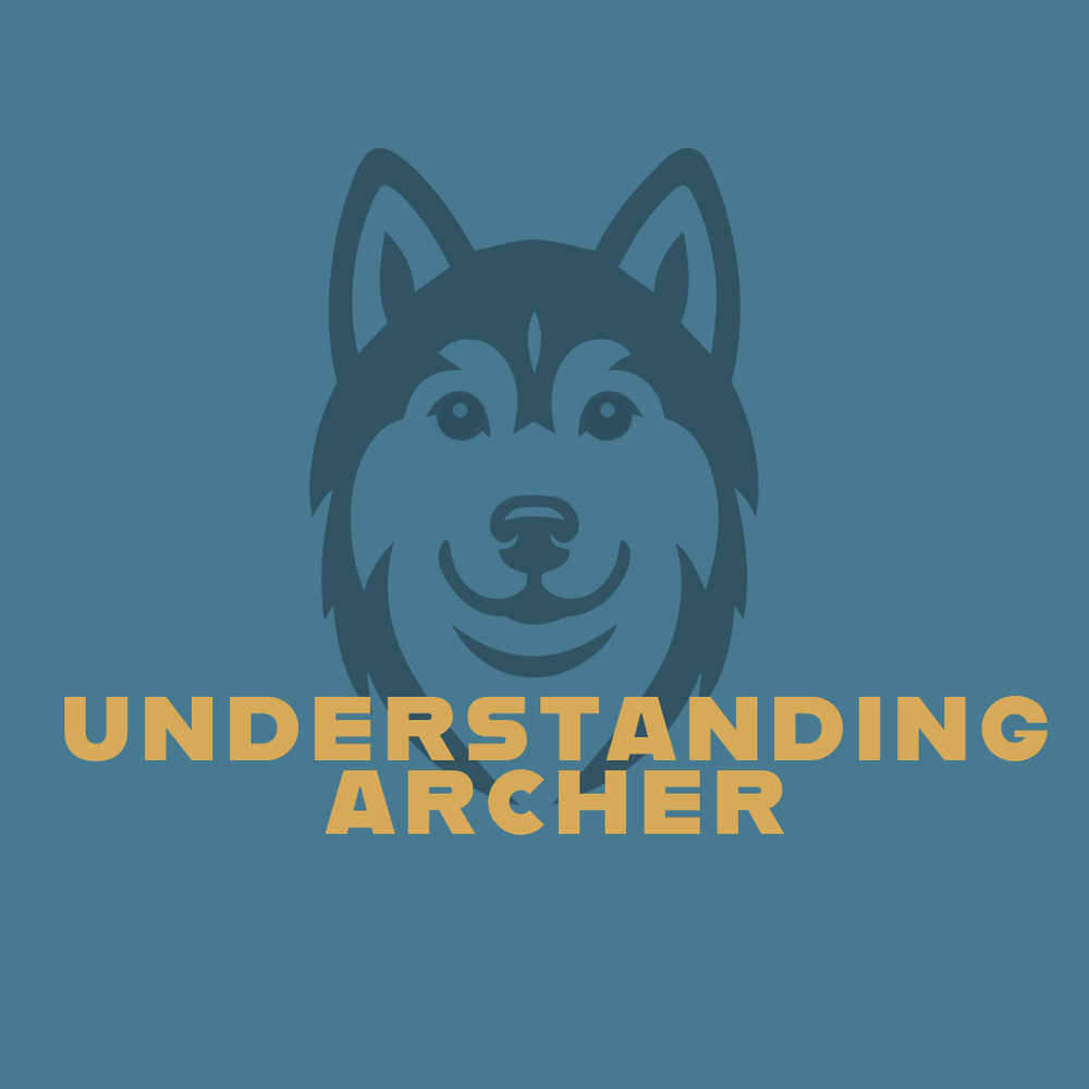UNDERSTANDING ARCHER - Updated March 2025 - Dallas, Texas ...