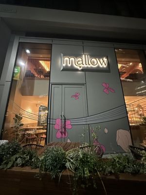 MALLOW - Updated August 2024 - 15 Photos & 16 Reviews - 1 Cathedral St ...