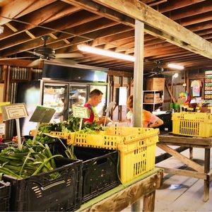 LOOPED SQUARE MEAT - Updated November 2025 - 3300 Highway 75, Beggs ...