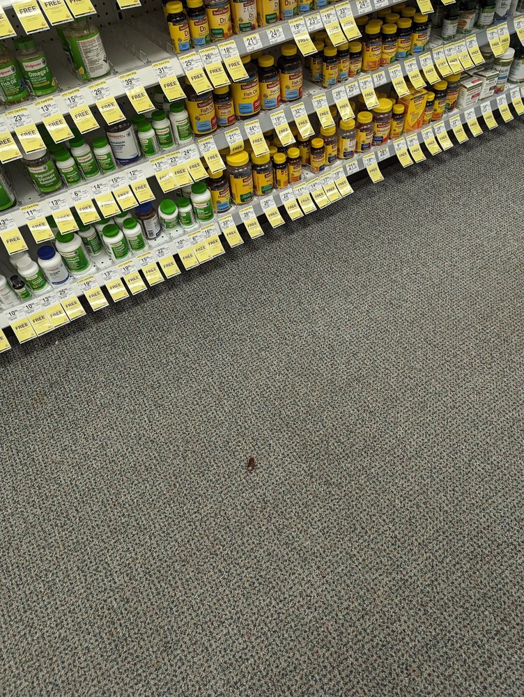 WALGREENS - Updated January 2026 - 11 Reviews - 4441 Six Forks Rd ...