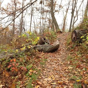 LAKE ARROWHEAD RECREATION PARK - 58 Photos & 16 Reviews - 265 Lake ...