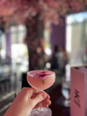 SORA - Updated August 2025 - 501 Photos & 203 Reviews - 1121 W 10th St ...