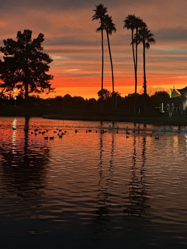 FREESTONE RECREATION CENTER - Updated January 2026 - 65 Photos & 59 ...