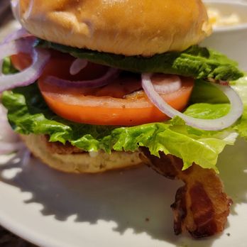 ATLANTIS PURPLE PARROT - Updated December 2024 - 462 Photos & 291 ...