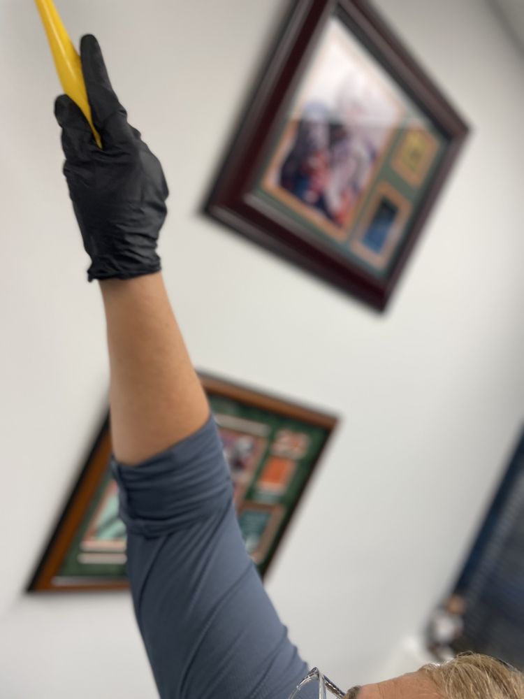 PAPA LEGS - 12 Lake Vista Way, Ormond Beach, Florida - Home Cleaning ...