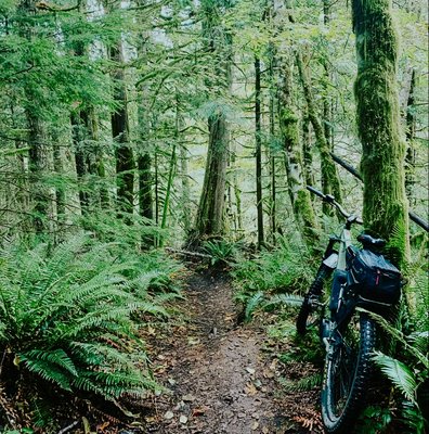 BIRCH BAY BIKE SHOP - Updated November 2025 - 4823 Alderson Rd, Blaine, Washington - Bike ...