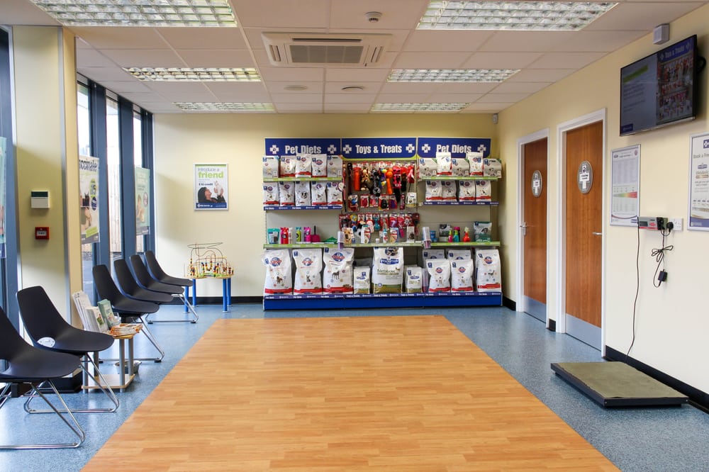 WHITE CROSS VETS, LIVERPOOL - GATEACRE - Updated January 2025 - 10 ...