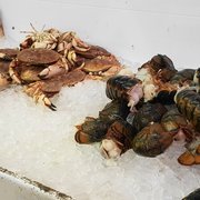 TWO COUSINS FISH MARKET - 64 Photos & 70 Reviews - 255 Woodcleft Ave ...