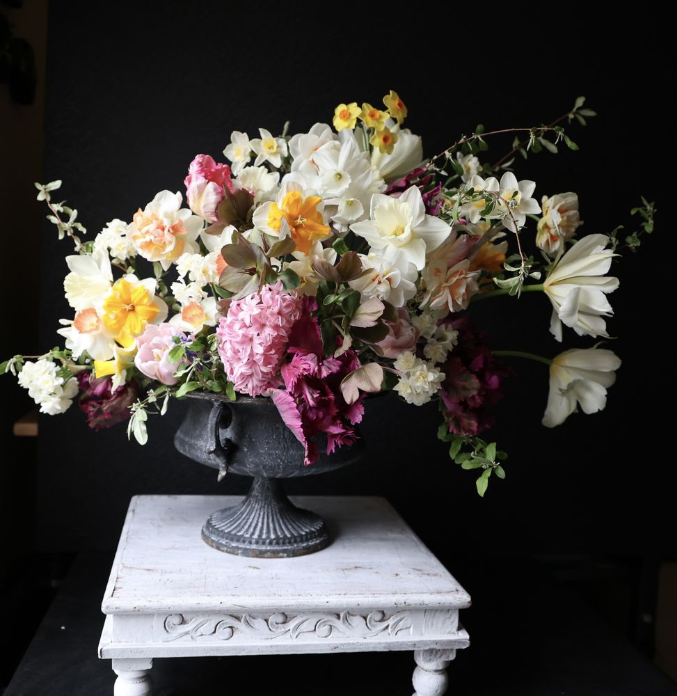 THE WHIMSICAL SPARROW - Updated September 2024 - 17 Photos - 31 ...