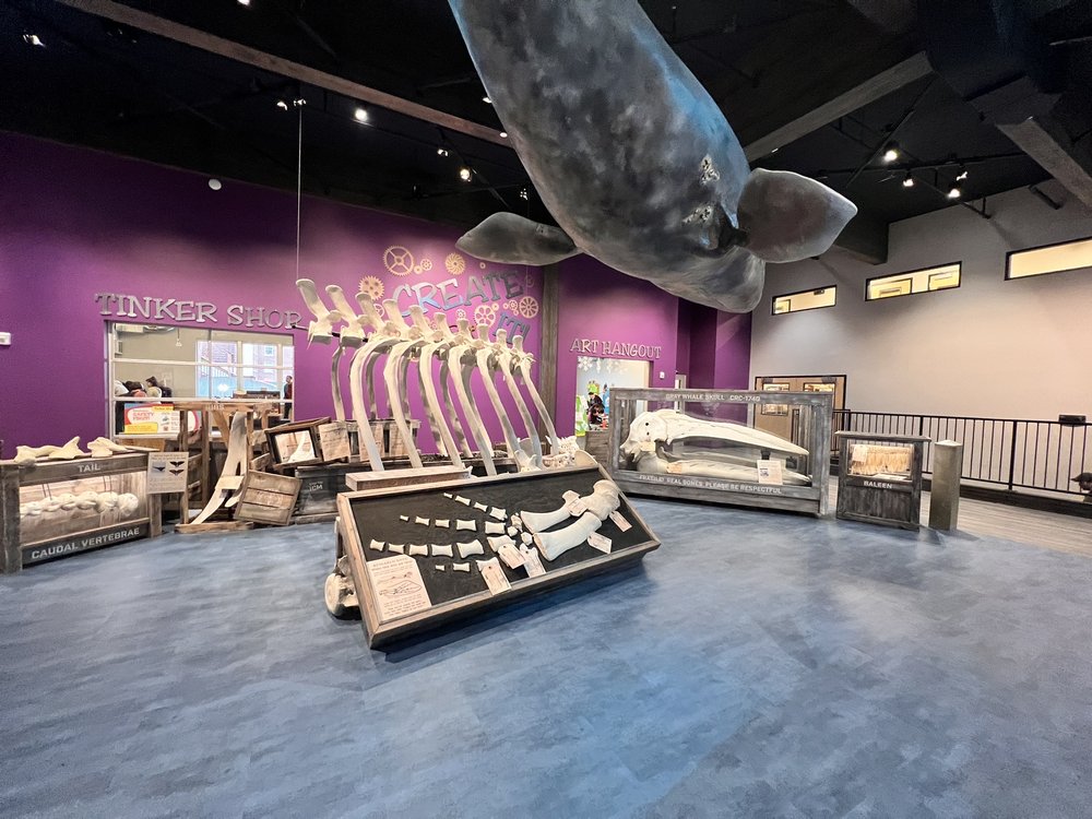 IMAGINE CHILDREN’S MUSEUM - 279 Photos & 200 Reviews - 1502 Wall St ...