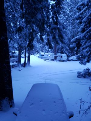 EAGLE TREE RV PARK - 11 Photos & 25 Reviews - Campgrounds - 16280 State ...