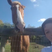 WUNDERLICH FARM AND HISTORIC KLEIN - 20 Photos - 18218 Theiss Mail Rt ...