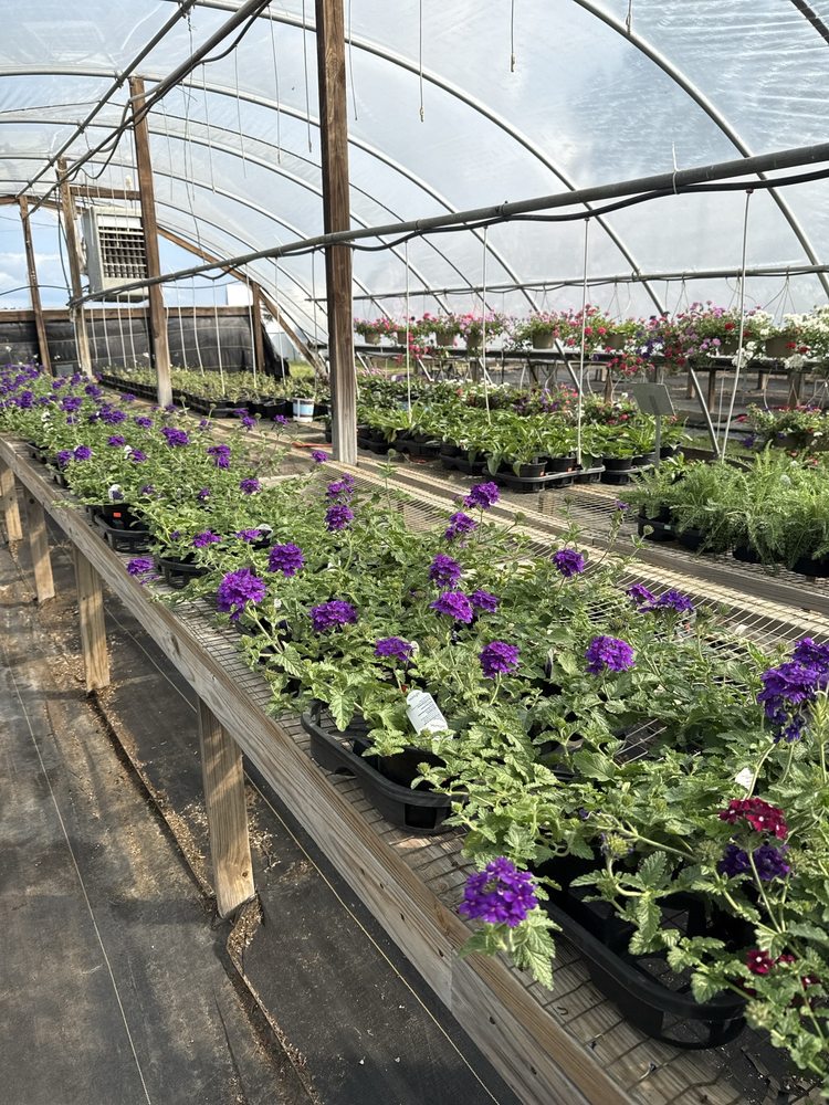 BOBO’S NURSERY & FLORIST - Updated December 2025 - 13 Photos & 11 ...